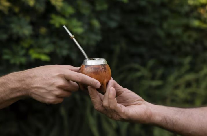 El mate se vuelve cool y suma fanáticos en el mundo: por qué crece su ...